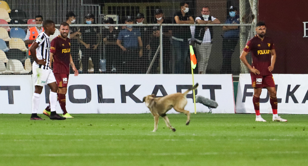 Un chien interrompt un match et met un petit pont à un joueur
