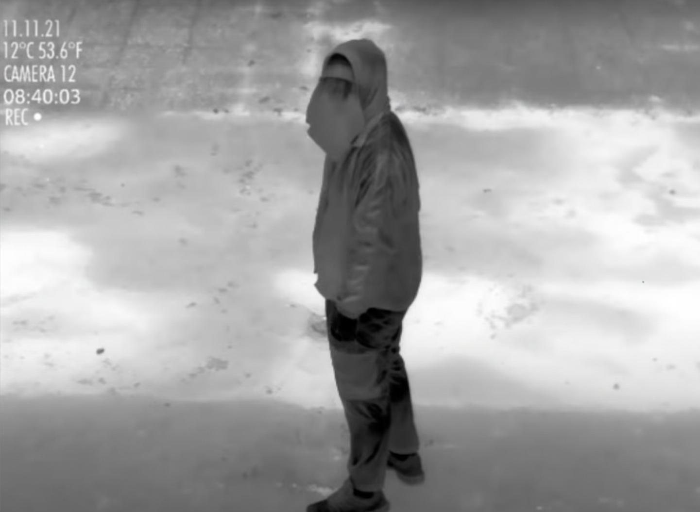 Ziak suivi de près dans Vrai/Faux