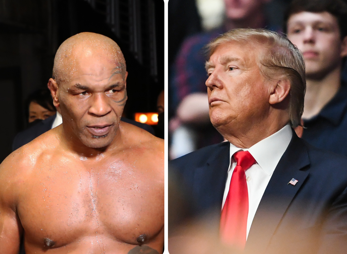 Quand Mike Tyson s'énervait contre Donald Trump : « Est-ce que tu b ...