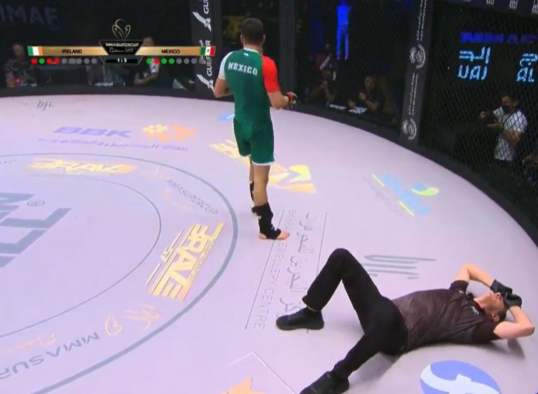 MMA : Un arbitre mis KO en plein combat