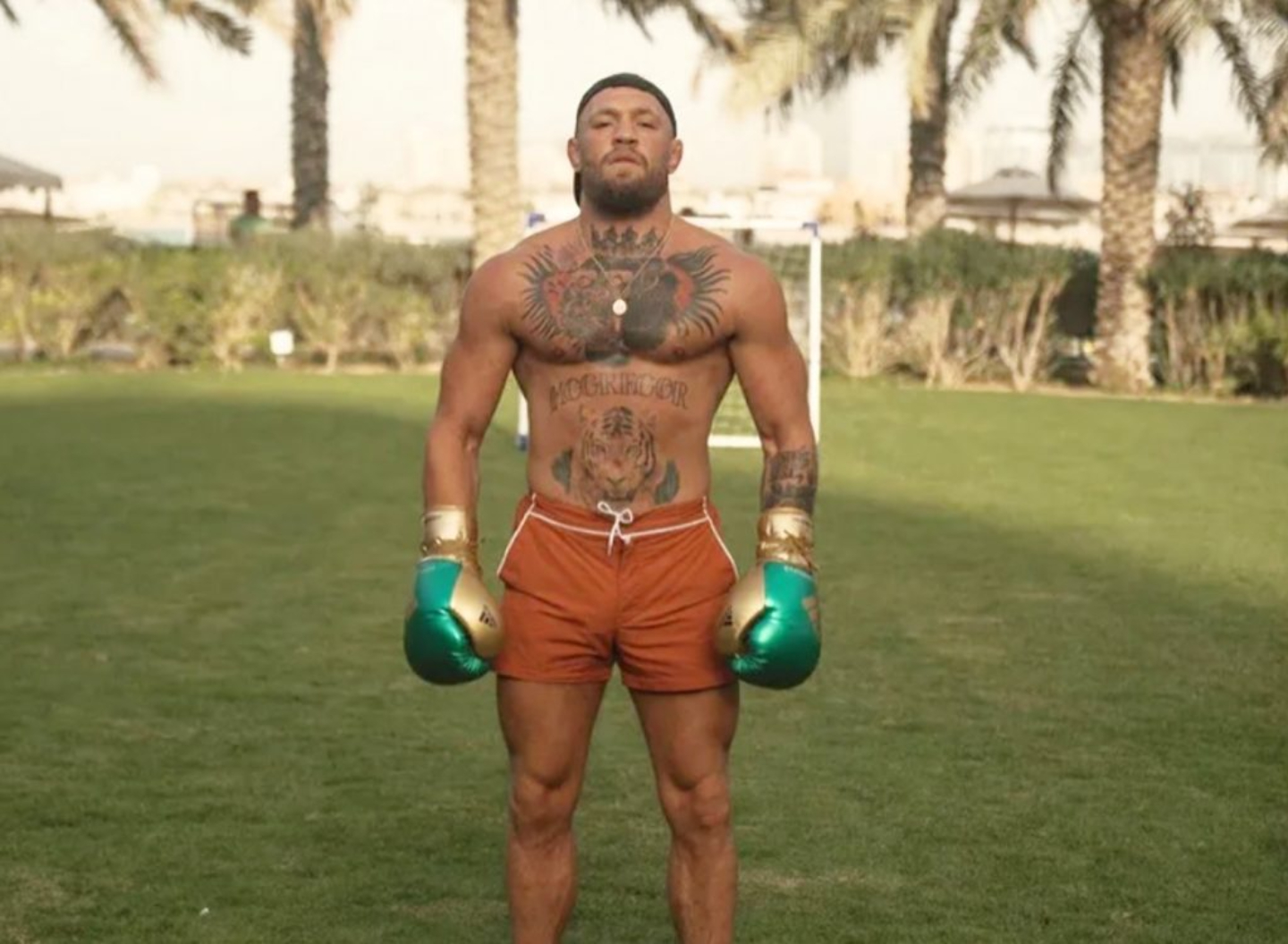On en sait plus sur l'incroyable transformation physique de Conor McGregor