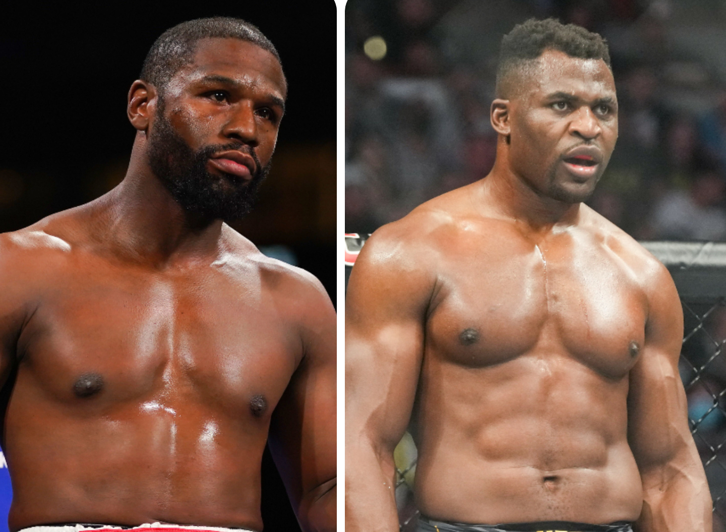 Quand Francis Ngannou Fait Passer Floyd Mayweather Pour Un Nabot