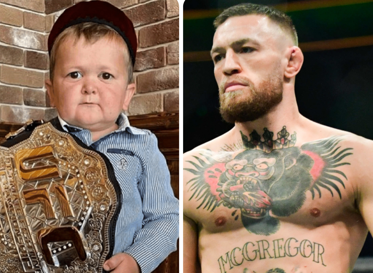 Conor McGregor s'en prend encore à Hasbullah