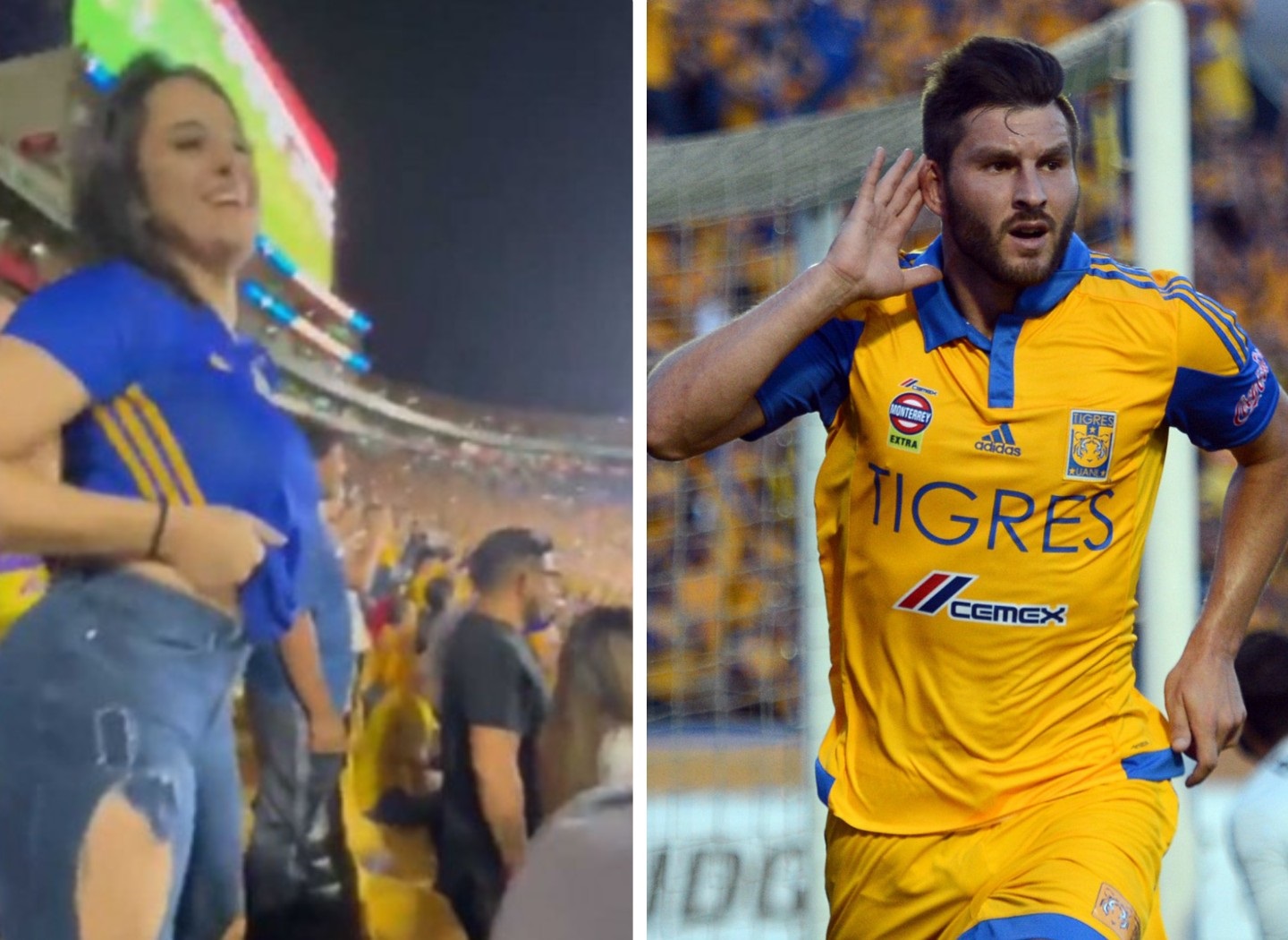 La célébration très (trop) osée d'une supportrice après un but de Gignac