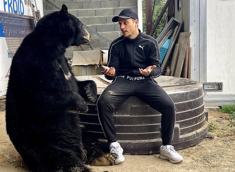 PLK pose avec l'ours de la cover de Polak et tease un projet top secret