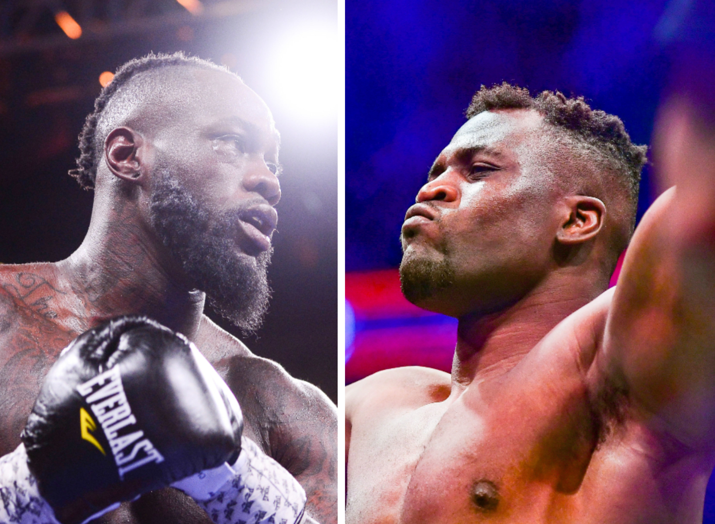 L'incroyable proposition de Deontay Wilder à Francis Ngannou