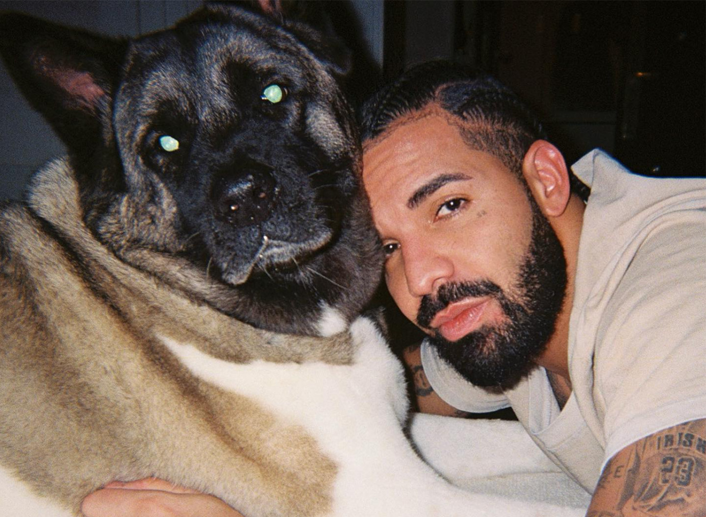 Drake repousse encore son nouvel album, « For All The Dogs