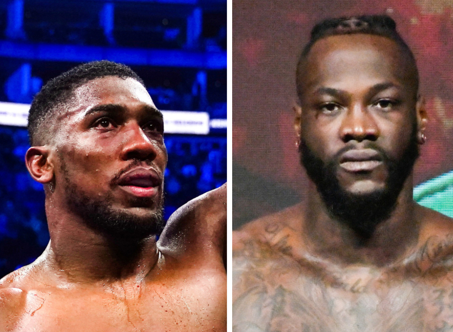 Le combat entre Anthony Joshua et Deontay Wilder encore repoussé