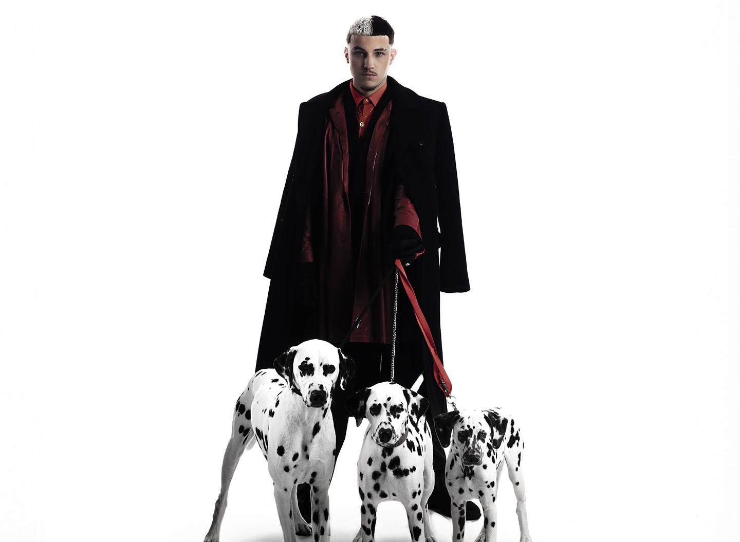 sean revient avec le projet OÙ EST PASSE ZEUDOG