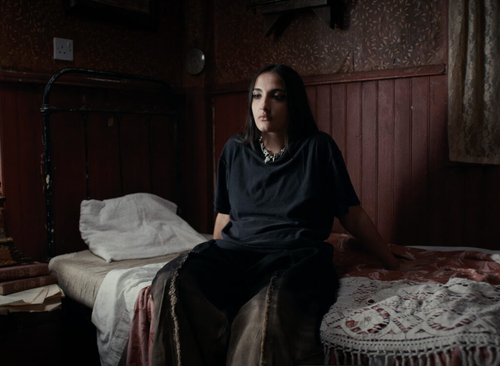 Asinine se cherche avec Deux ailes de cire