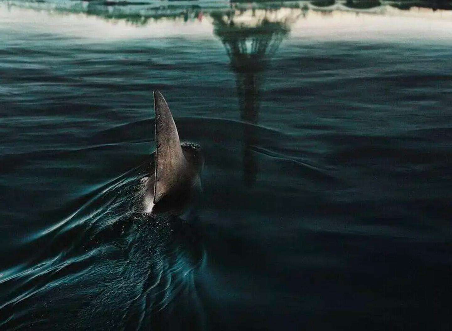 Sous la Seine est numéro un dans 85 pays sur Netflix